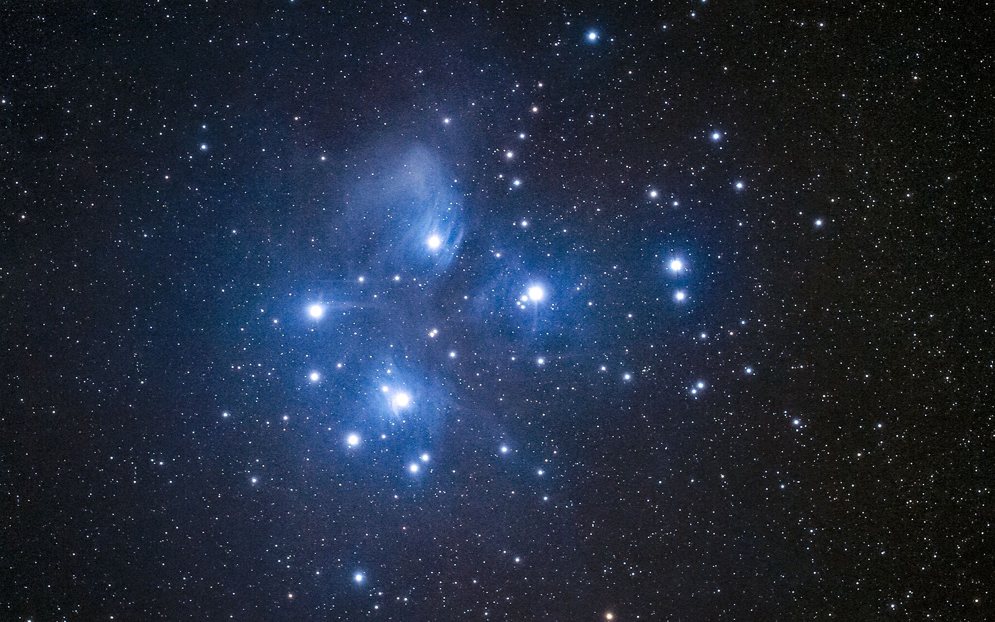 Accompanying Guest - New Zealand Starlight Conference